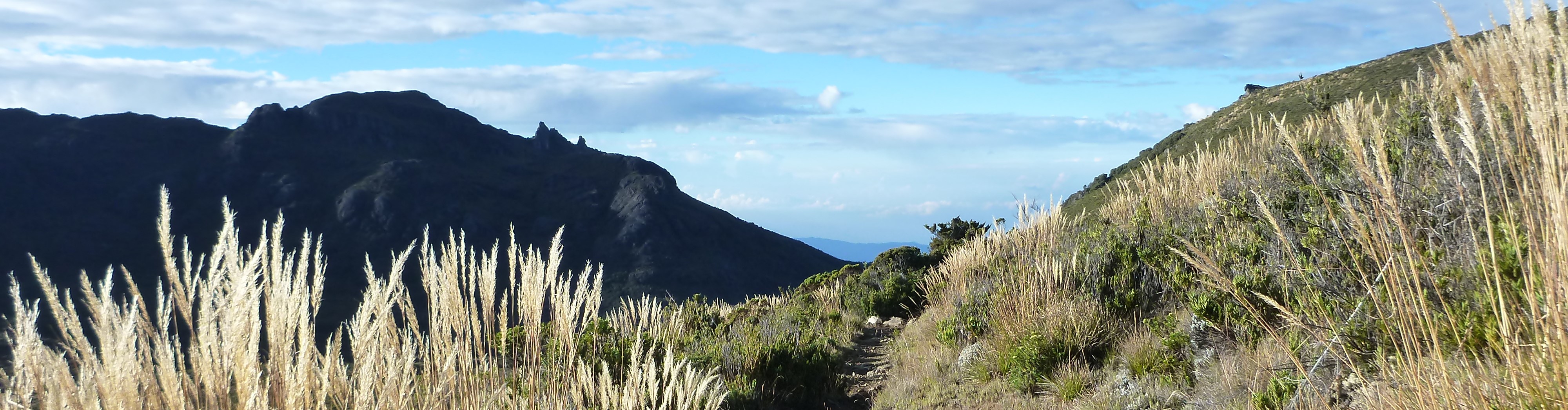Climbing Cerro Chirripo – Costa Rica’s Highest Summit | And Then They Went
